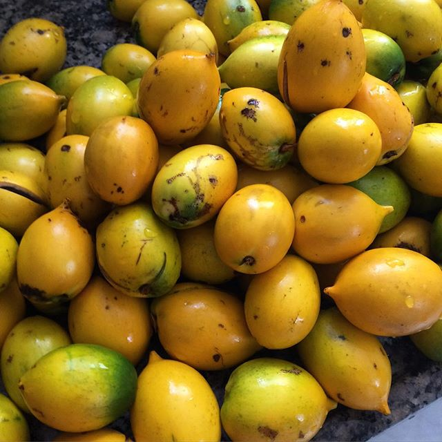 Abiu - Slow Food Brasil